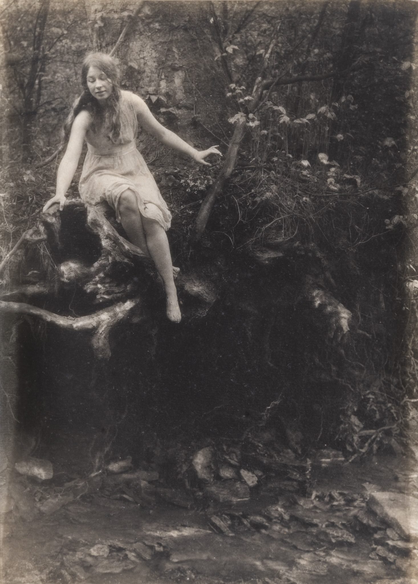 FotoFocus: a regional Tsunami of photo and lens work - Aeqai